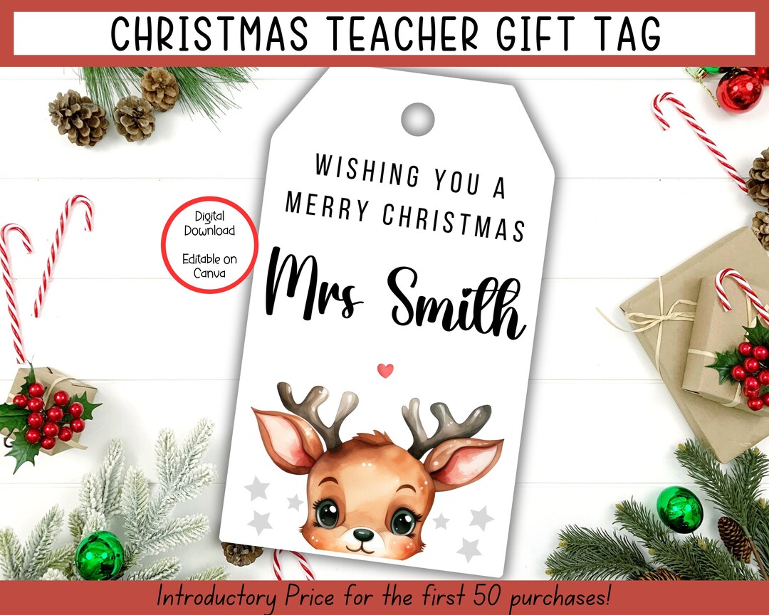 EDITABLE Christmas Teacher Appreciation Gift Tag, Christmas School Gift ...