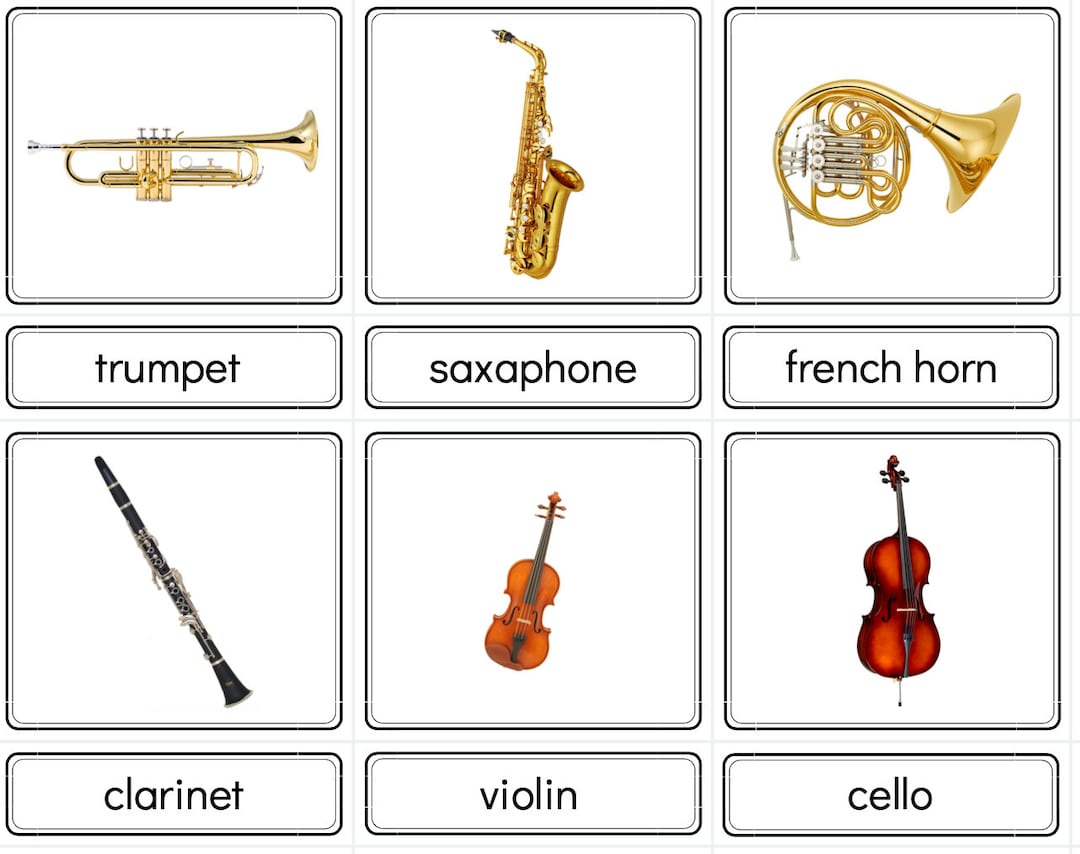 Musical Instruments Three Part Cards - Etsy
