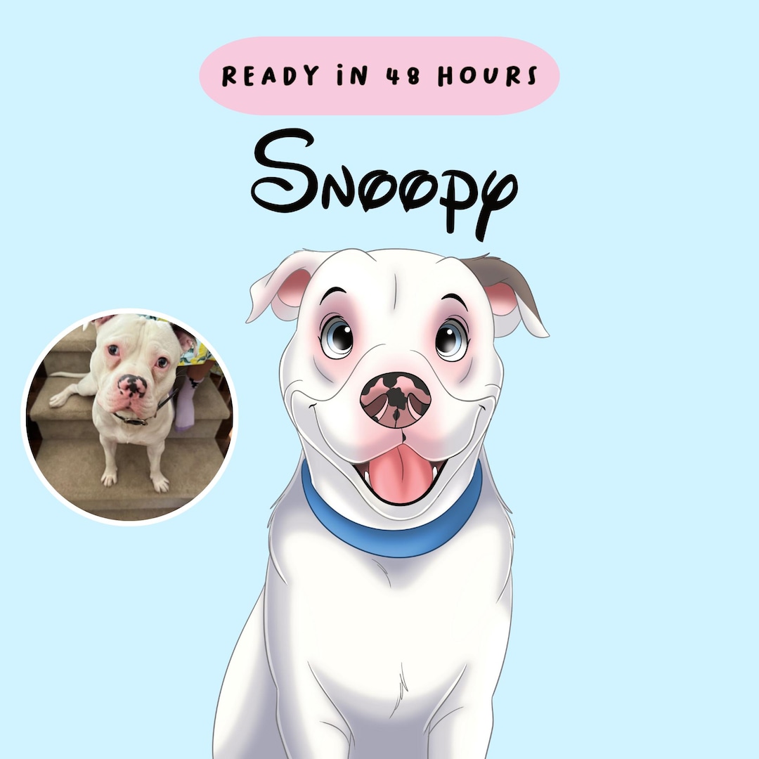 Personalized Pet Cartoon | Cute Pet Drawing | Custom Pet Illustration ...