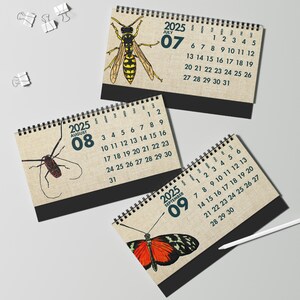 2025 Insect Desk Calendar Beautiful Hand Drawn Illustration Bug ...