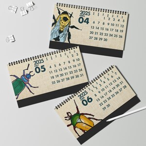 2025 Insect Desk Calendar Beautiful Hand Drawn Illustration Bug ...