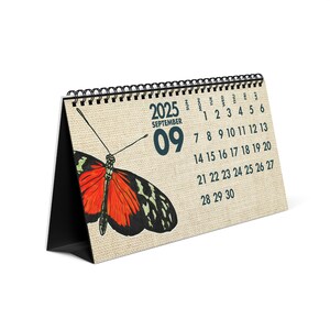 2025 Insect Desk Calendar Beautiful Hand Drawn Illustration Bug ...