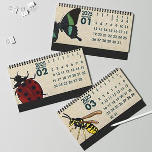 2025 Insect Desk Calendar Beautiful Hand Drawn Illustration Bug ...
