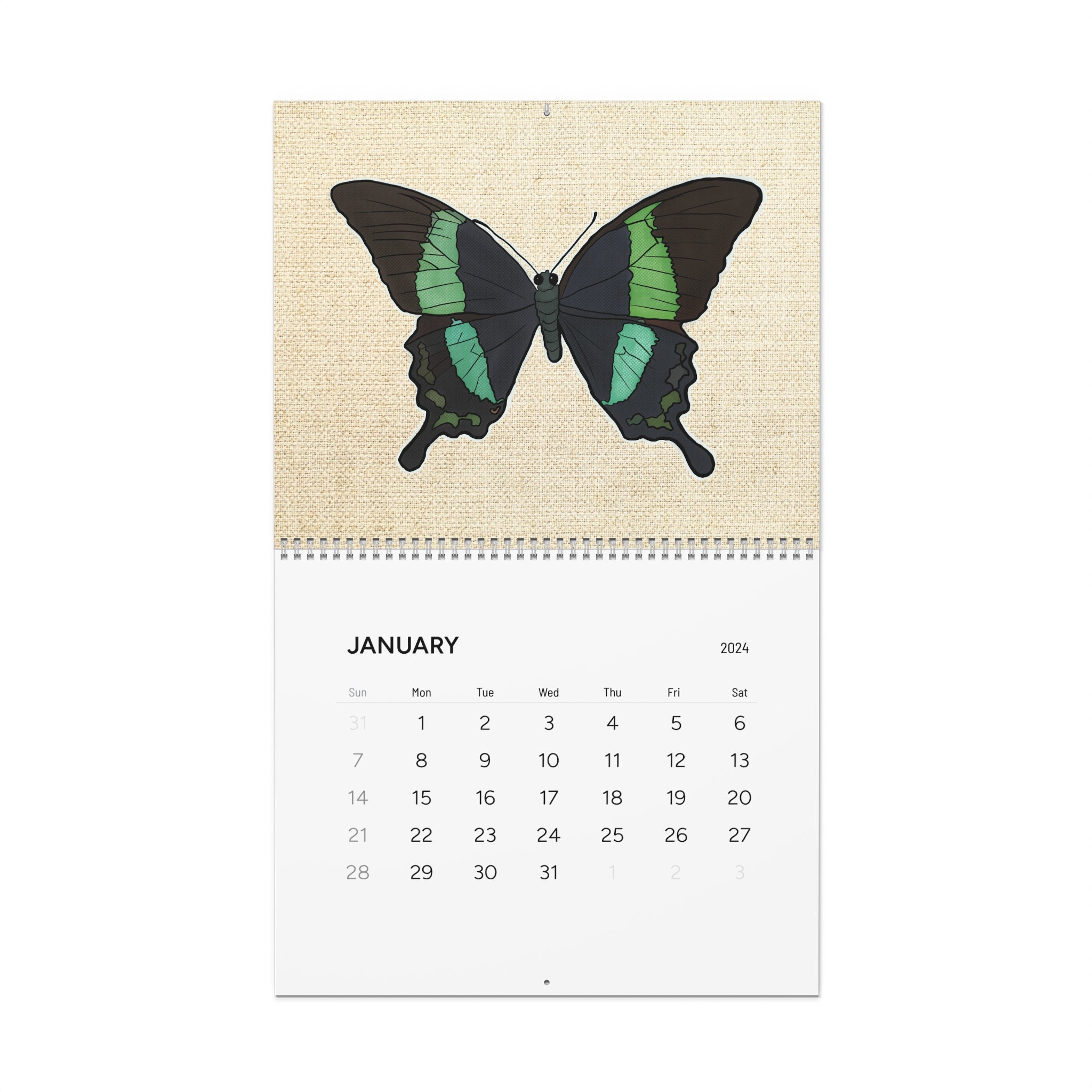 2024 Insect Wall Calendars Cool Bug Calendar Entomology Entomologist ...