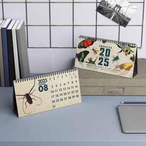 2025 Insect Desk Calendar Beautiful Hand Drawn Illustration Bug ...