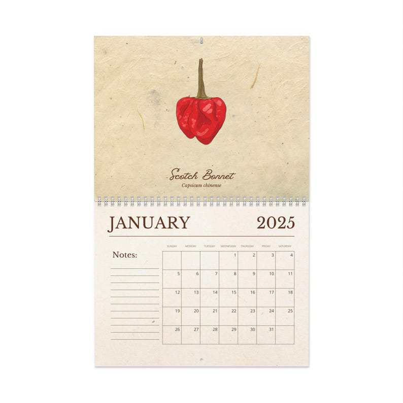 2025 Pepper Wall Calendar Food Calendars Art Produce Botanical ...