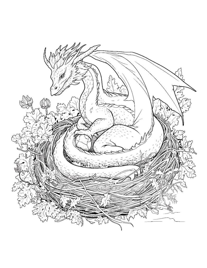 Enchanting Dragon Coloring Pages: Instant Download With Cute ...