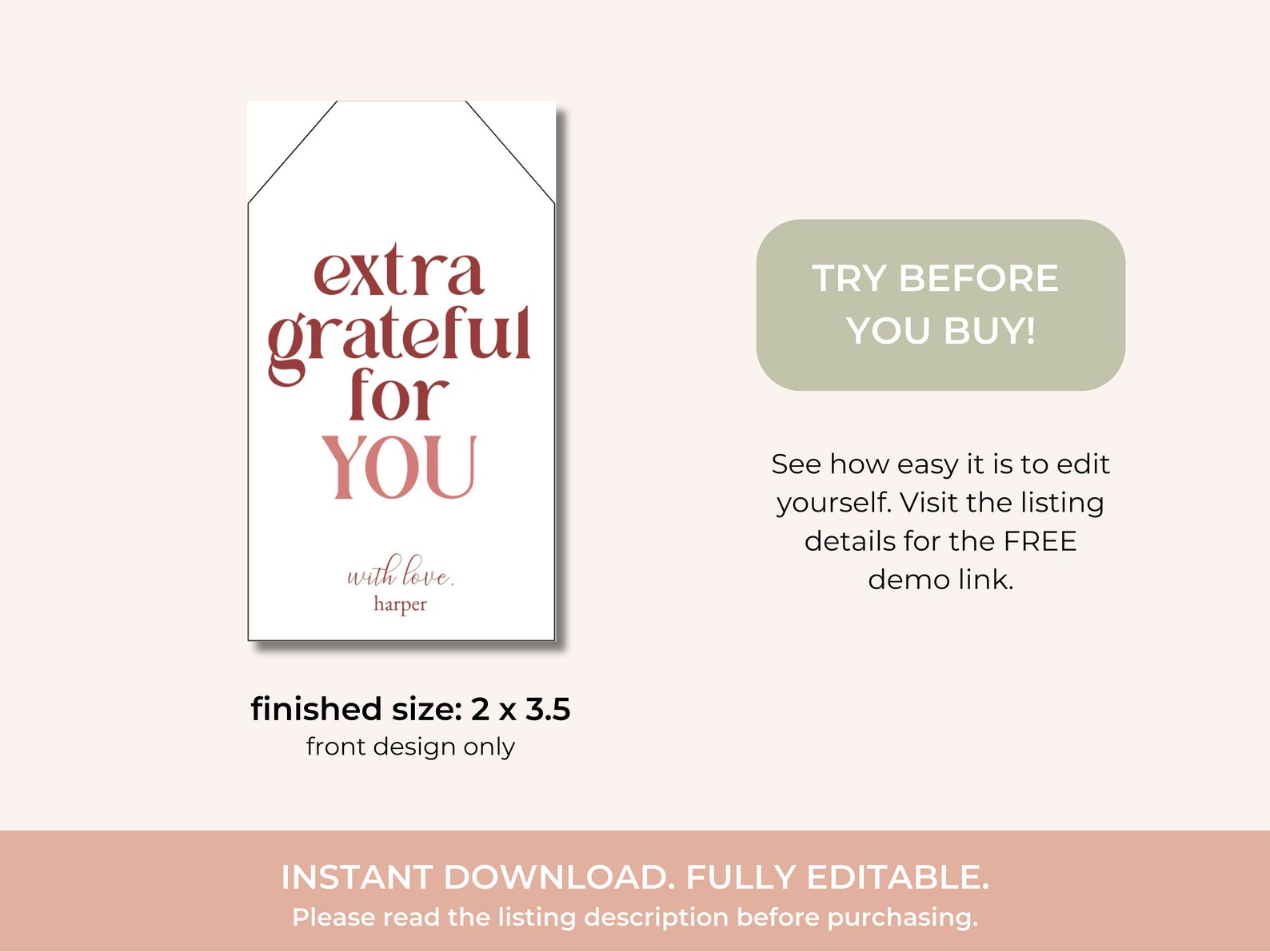 Editable Appreciation Gift Tag, Printable Thank You (digital Download ...