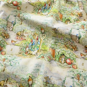 Beatrix Potter - Etsy Canada