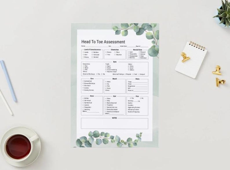 Head-to-toe Nursing Assessment Template - Etsy