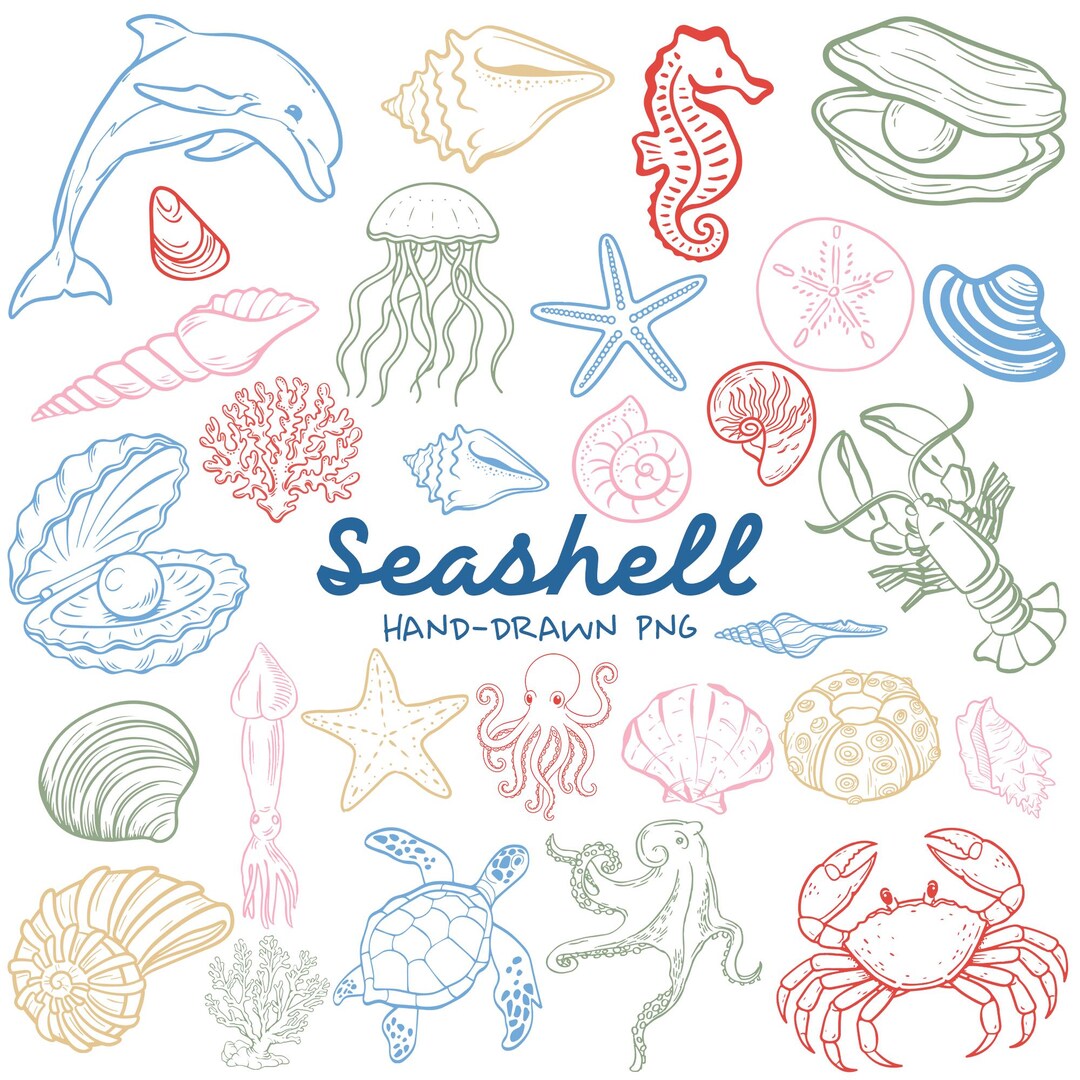 Hand Drawn Coastal Summer Clipart, PNG Doodles, Beach Illustration ...