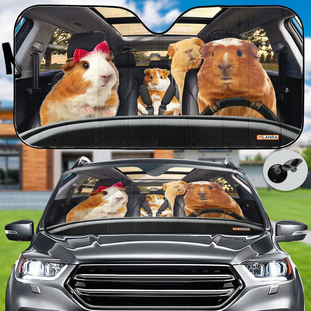 Guinea Pig Car Sunshade, Guinea Pig Car Accessories, Car Decoration ...