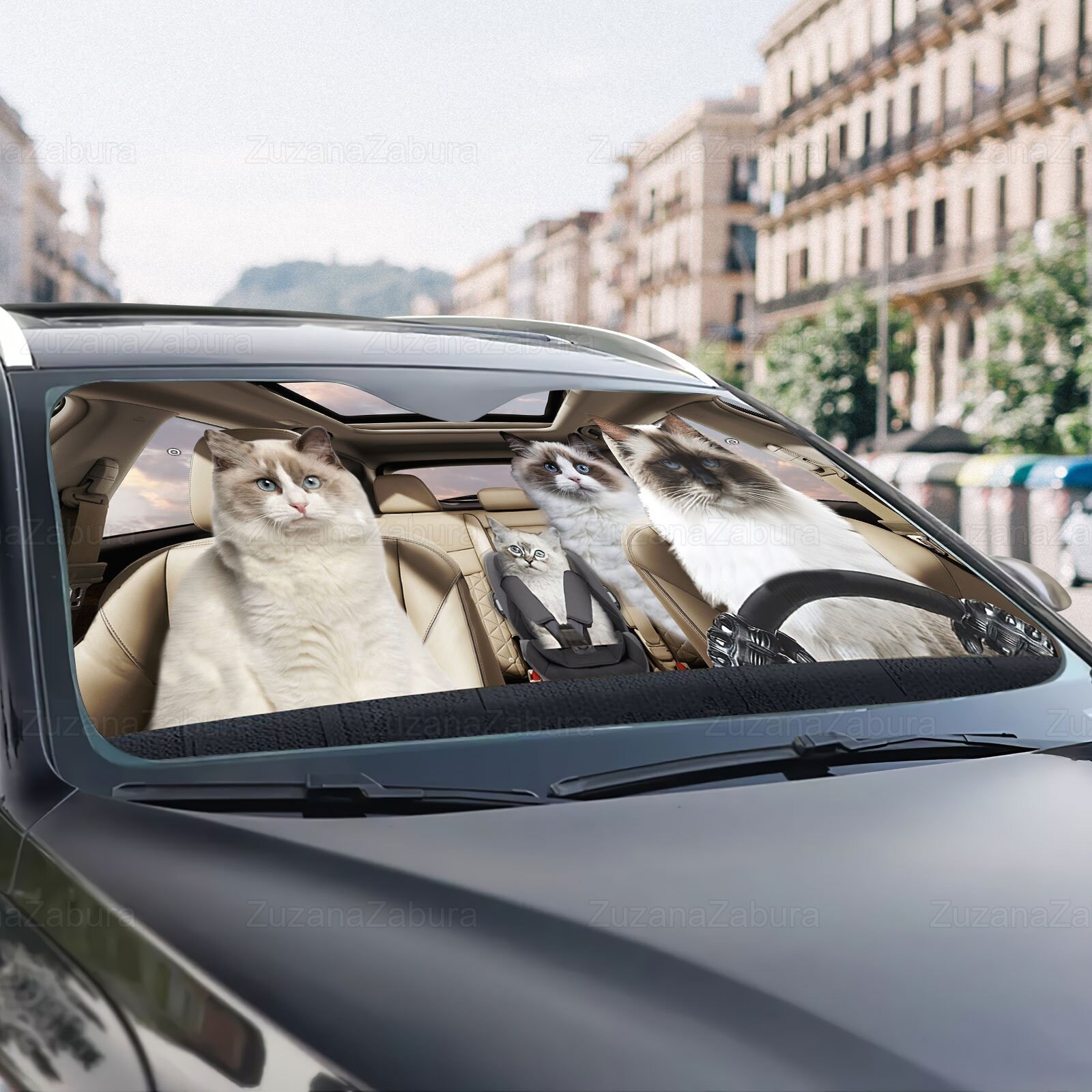 Ragdoll Car Sunshade Ragdoll Cat Gift Ragdoll Car Decor - Etsy