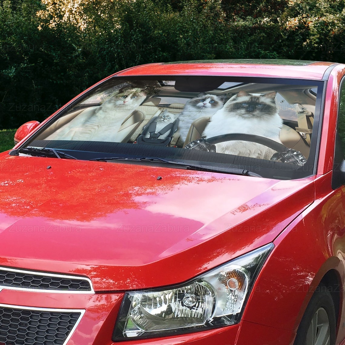 Ragdoll Car Sunshade Ragdoll Cat Gift Ragdoll Car Decor - Etsy