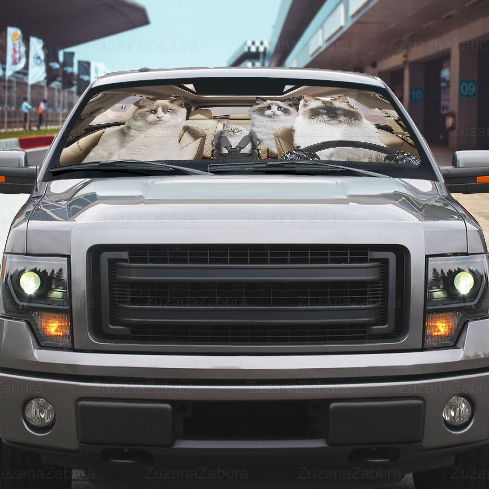 Ragdoll Car Sunshade Ragdoll Cat Gift Ragdoll Car Decor - Etsy