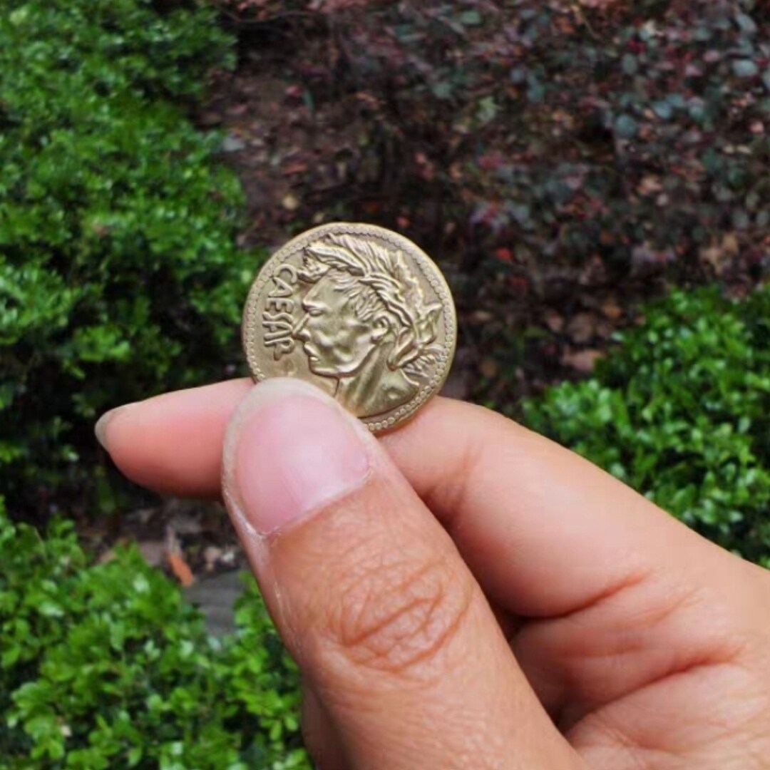 Kamen Rider Geats DGP Winner's Medal Coin - Etsy