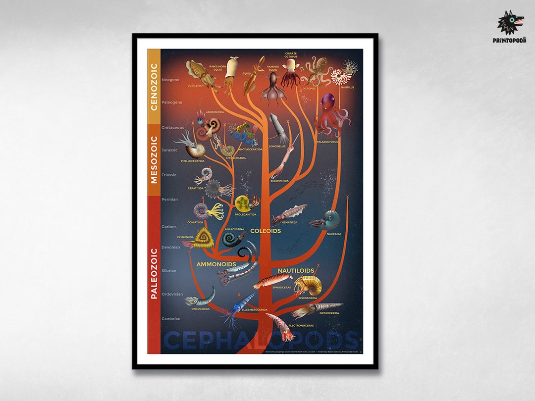 Cephalopods Tree Print, Kids Room Wall Art, Prehistoric Print, Kids ...
