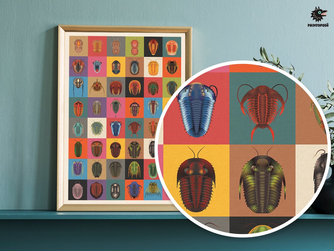 Trilobites Print, Kids Room Wall Art, Prehistoric Print, Kids Gallery ...