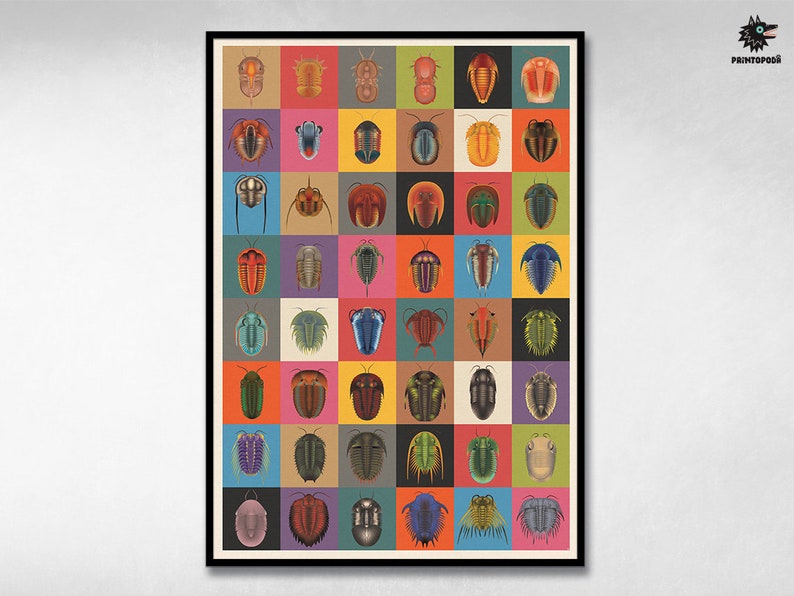 Trilobites Print, Kids Room Wall Art, Prehistoric Print, Kids Gallery ...