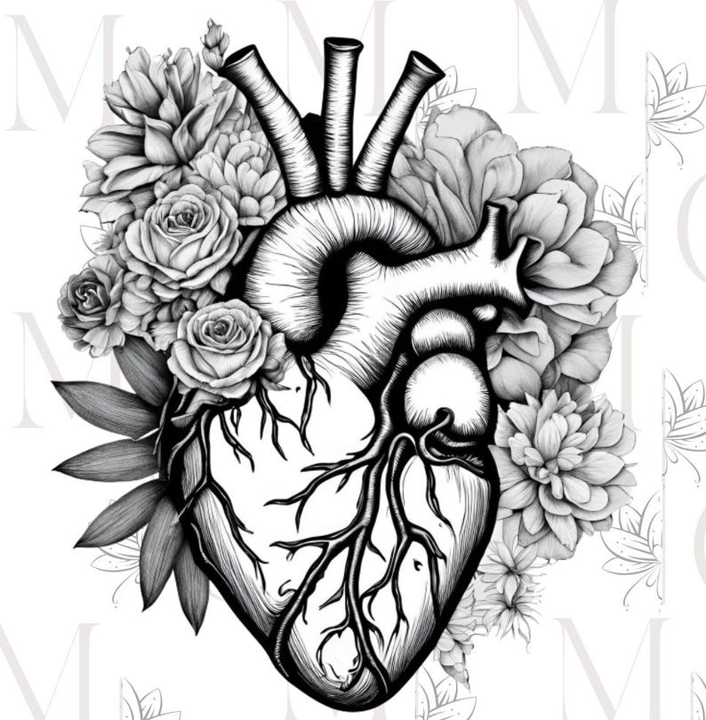 Anatomical Floral Heart Black Png, Anatomy, Heart Structure, Cvicu ...