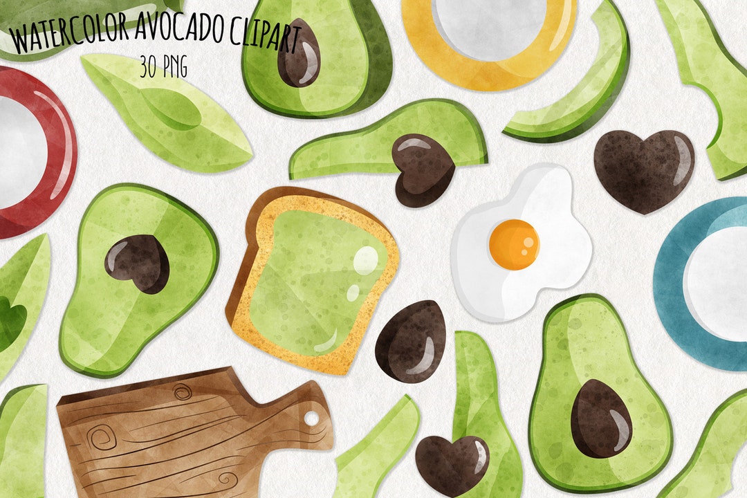 Watercolor Avocado Clipart Graphic,tropical Fruit Clipart,summer Clip ...