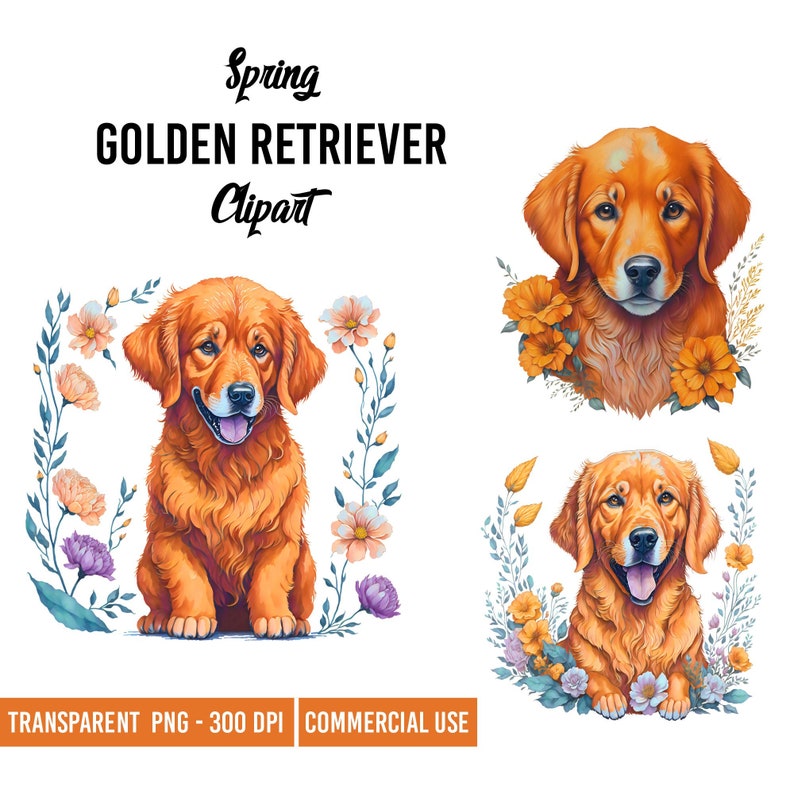 Golden Retriever Clipart, 6 PNG, Retriever Dog, Retriever PNG, Cute ...