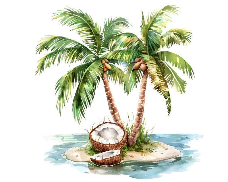 Palm Tree With Coconut Clipart, 12 JPG, Watercolor Tropical Clip Art ...