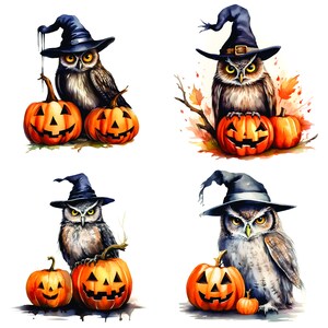 Halloween Witch Owl Clipart, 16 Jpgs, Watercolor Owl, Halloween Owl ...