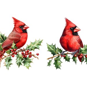 Christmas Red Cardinal Clipart, 16 JPG, Cardinal on A Holly Branch ...