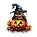 Halloween Witch Owl Clipart, 16 Jpgs, Watercolor Owl, Halloween Owl ...