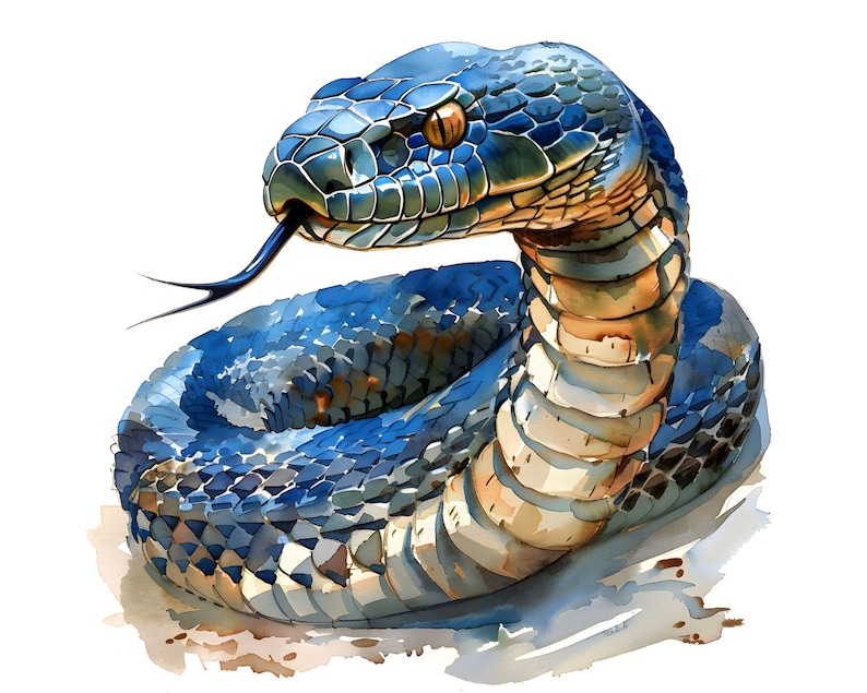 Watercolor Cobra Snake Clipart, 14 High Quality JPG, Digital Paper ...