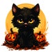 Cute Halloween Cat Clipart, 12 Jpgs, Halloween Clipart, Halloween Cat ...