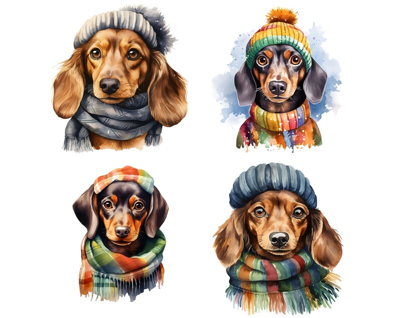 Dachshund Clipart, Png Clipart, Winter Clipart, Dog Clipart ...