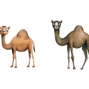 Quirky Funny Camel Clipart, 16 PNG, Whimsical Clip Art, Nursery Art ...