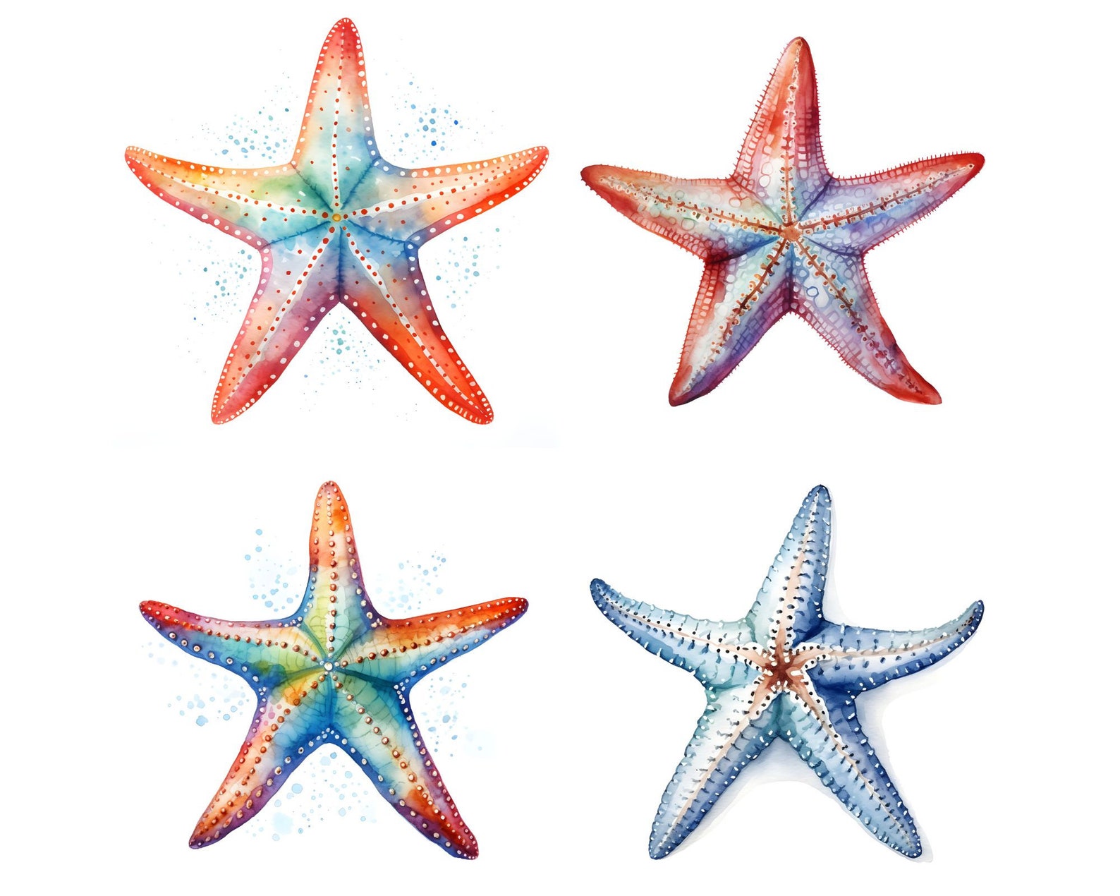 Watercolor Starfish Clipart, 24 High-quality JPG, Summer Clip Art ...