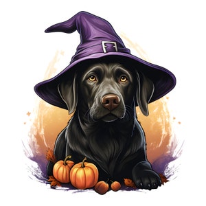 Halloween Black Lab Clipart, Watercolor Witch Dog (12 Jpgs) (commercial ...