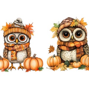 Autumn Owl Clipart, 14 JPG, Cute Owl Fall Clip Art, Paper Crafting ...
