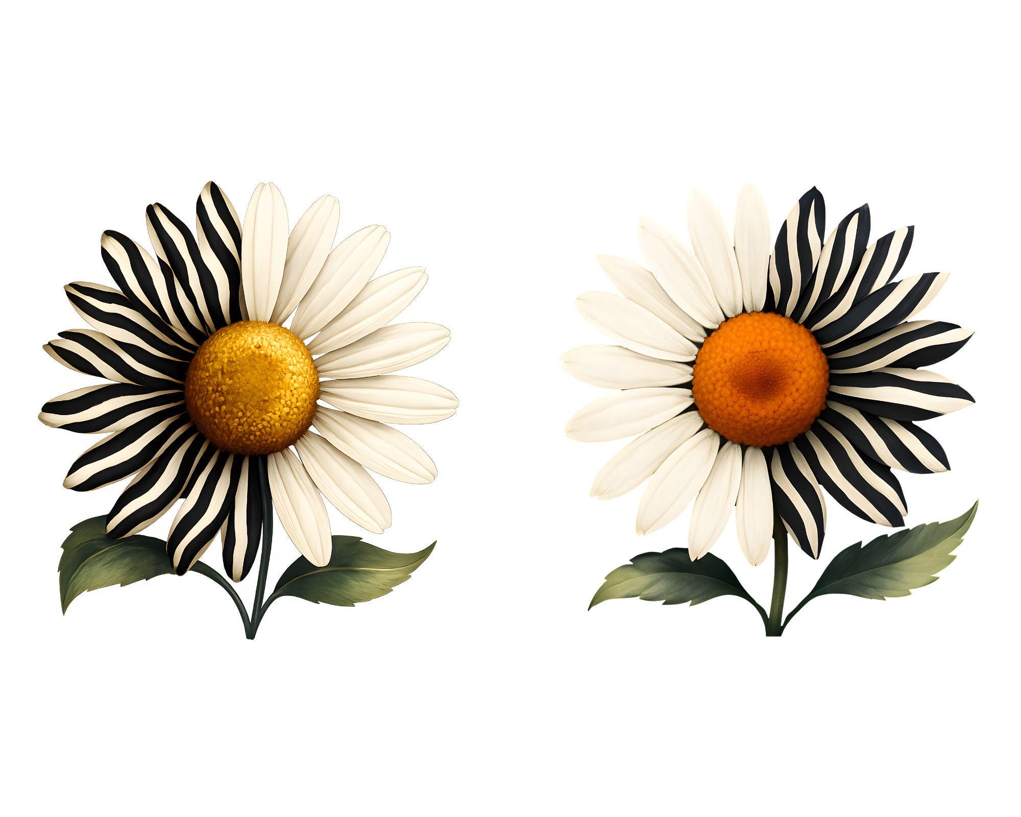 Zebra Print Daisy Clipart: Watercolor Floral 24 PNG Bundle (digital ...