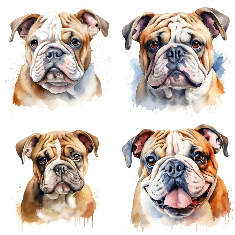 Bulldog Clipart, 18 Jpgs, Watercolor Bulldog, Bulldog Clip Art ...