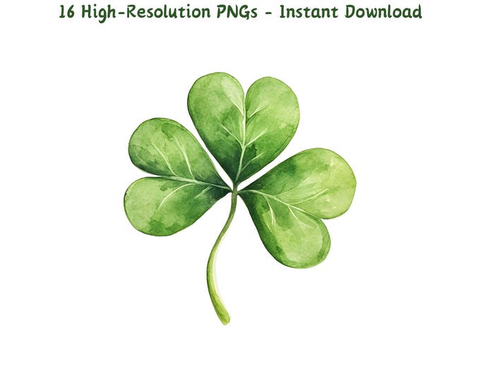 Watercolor Shamrock Clipart: St. Patrick's Day 16 PNG Graphics (digital ...