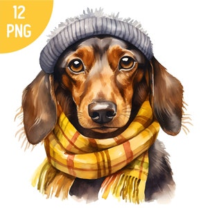 Dachshund Clipart, Png Clipart, Winter Clipart, Dog Clipart ...