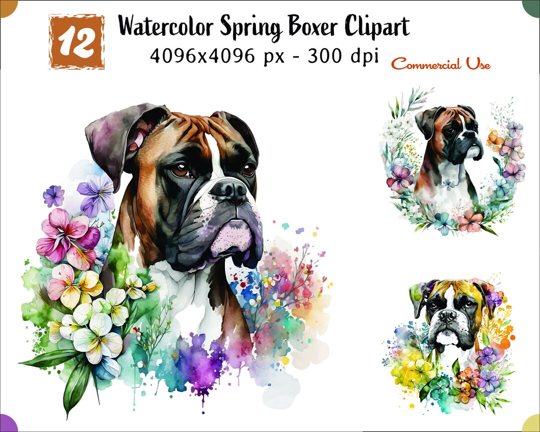 Set of 12 Boxer Clipart Spring Boxer Dog With Flowers - Etsy