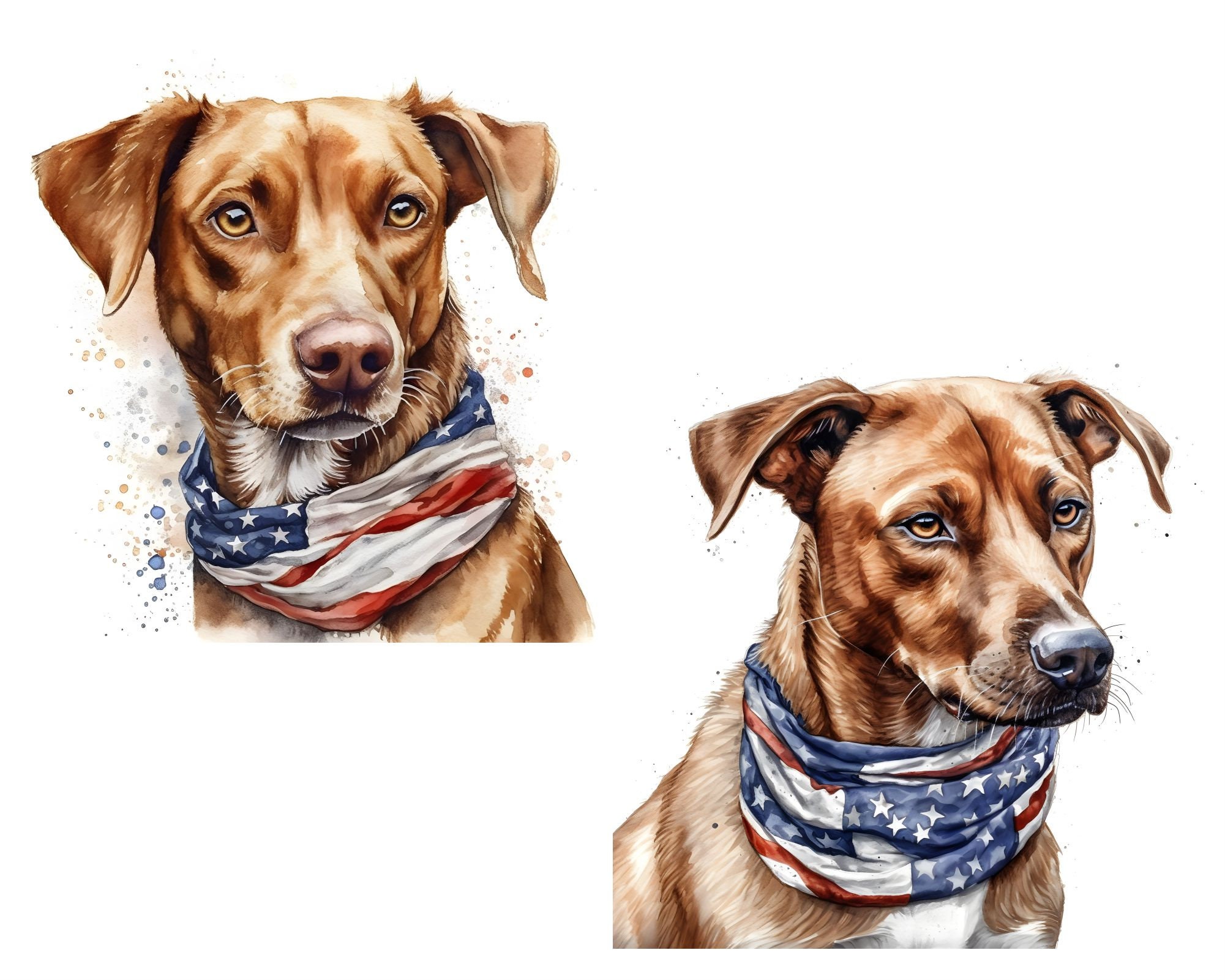 Watercolor Patriotic Mutt Dog Clipart: 4th of July Jpgs (digital ...