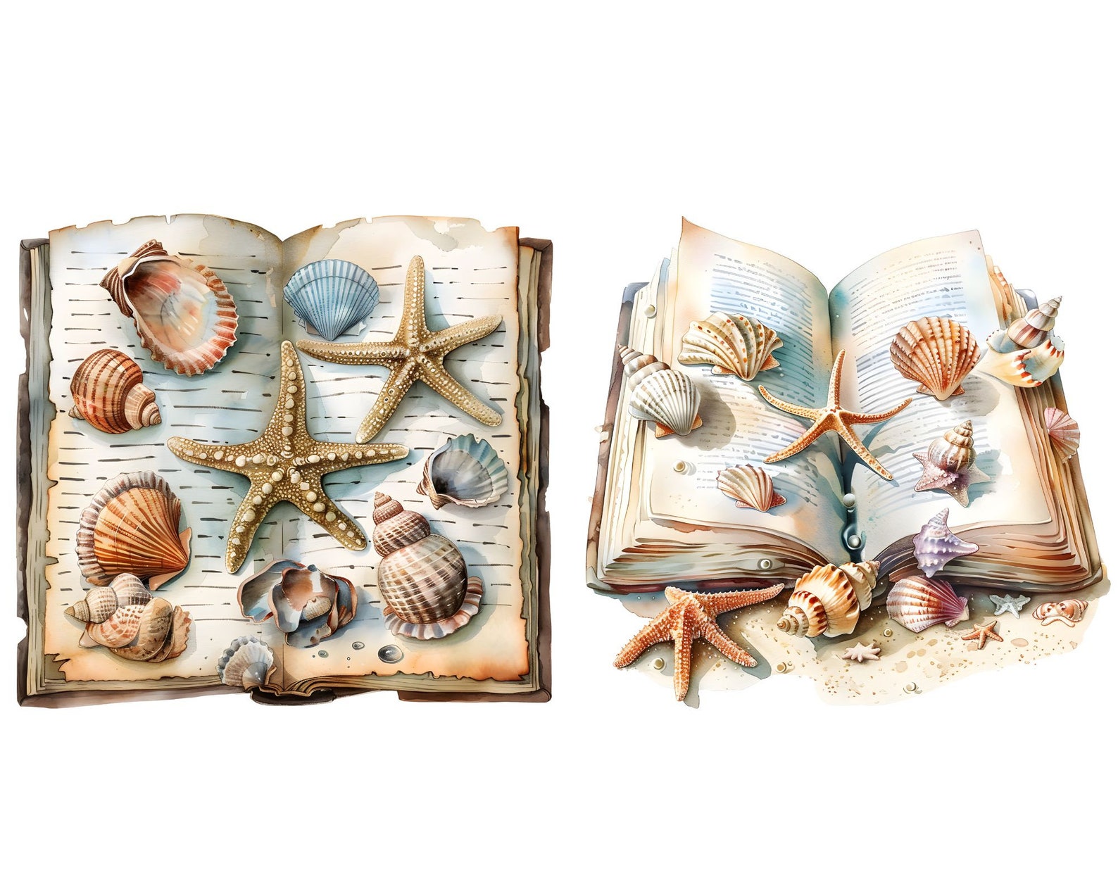 Watercolor Beach Book Clipart, 20 PNG, Books With Shells and Starfish ...