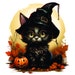Cute Halloween Cat Clipart, 12 Jpgs, Halloween Clipart, Halloween Cat ...