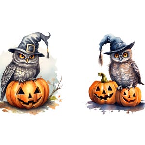 Watercolor Halloween Owl Clipart, Spooky Owl With Pumpkin & Witch Hat ...