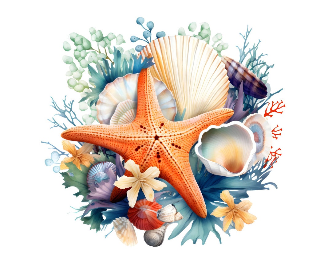 Watercolor Floral Starfish and Shells Clipart, 24 JPG, Summer Clip Art ...