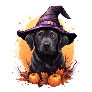 Halloween Black Lab Clipart, Watercolor Witch Dog (12 Jpgs) (commercial ...