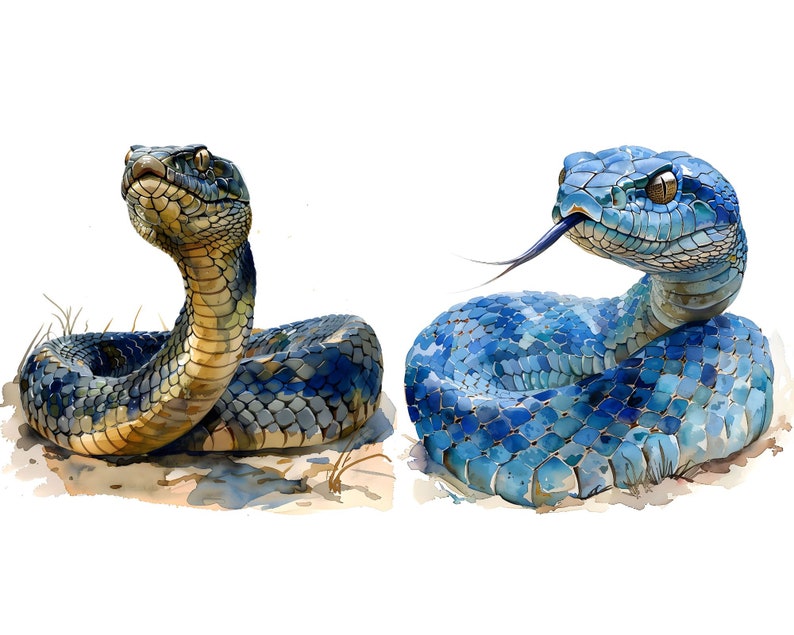 Watercolor Cobra Snake Clipart, 14 High Quality JPG, Digital Paper ...