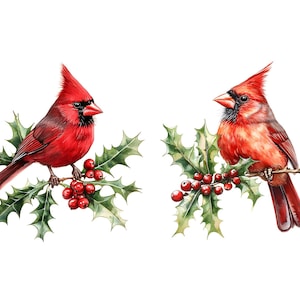 Christmas Red Cardinal Clipart, 16 JPG, Cardinal on A Holly Branch ...